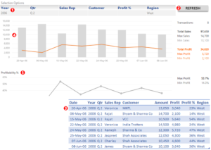 Make a Dashboard Using Advanced Filter - Goodly
